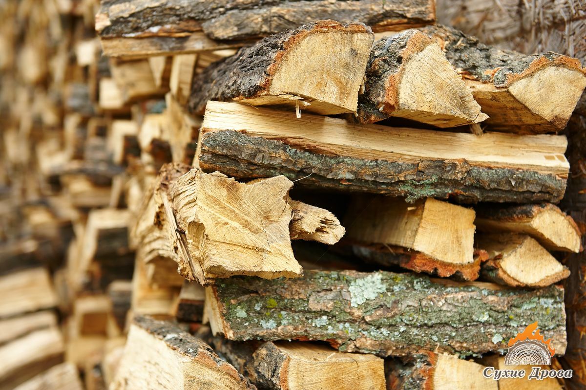 MINISTERUL MEDIULUI: Lemne ajung pentru toți. Livrarea acestora acasă ...