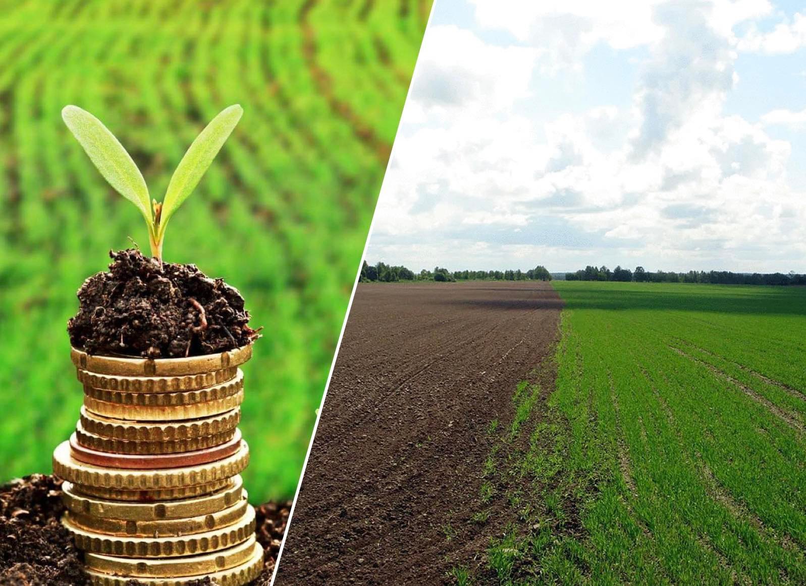 SUBVENȚII PENTRU LUCRĂRI DE AMELIORARE ȘI PROTECȚIE A SOLULUI