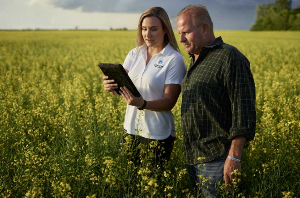 GRANULAR LINK: Decizii mai informate pentru gestionarea eficientă a ...