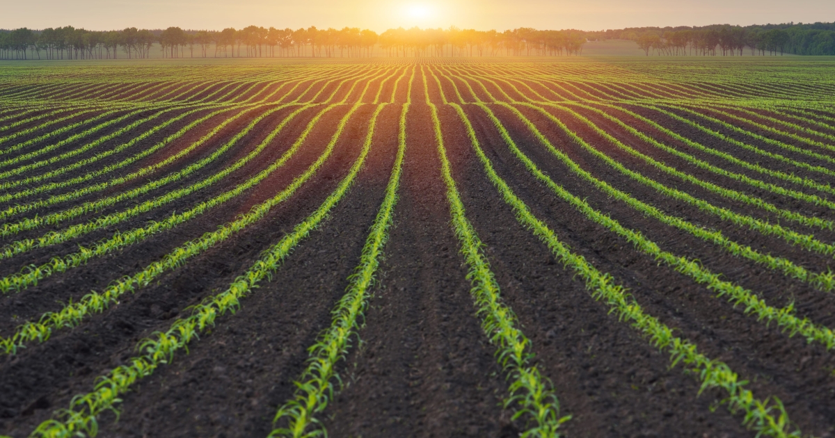 SOLUȚII BIOLOGICE CORTEVA: Randament crescut, impact redus asupra mediului