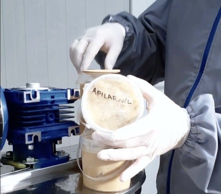 APILARNILUL – COMOARA DIN STUP. Cum se obține și de ce este recomandat ...