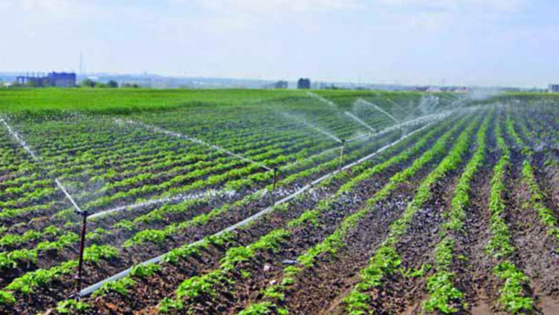 GRANT PENTRU SISTEME DE IRIGARE LA SCARĂ MICĂ