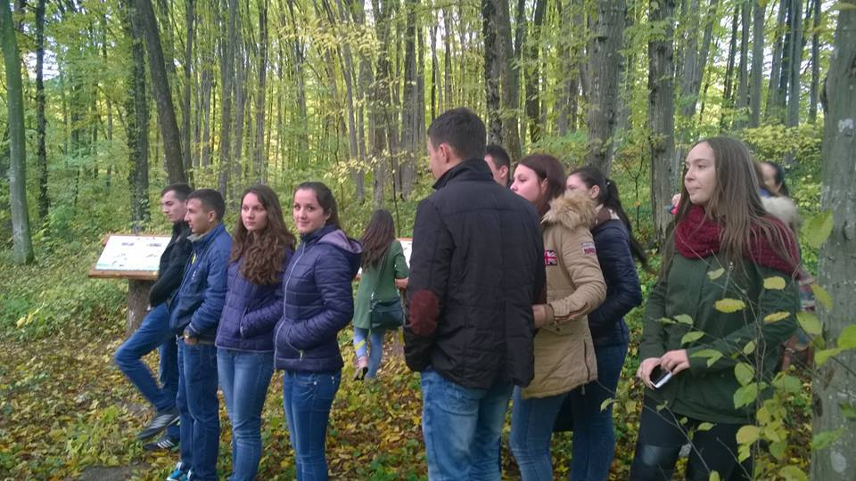 REZERVAȚIA NATURALĂ „PLAIUL FAGULUI”, MAI ATRACTIVĂ PENTRU TURIȘTI