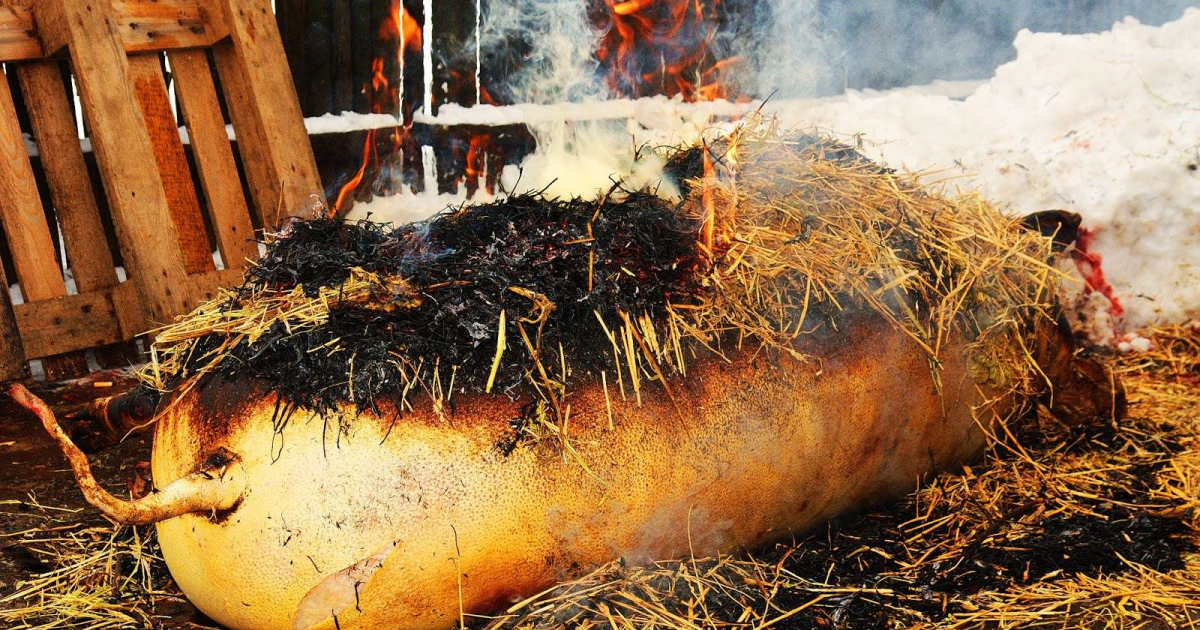 PORCUL DE CRĂCIUN: Când se taie? Metode de afumare a cărnii