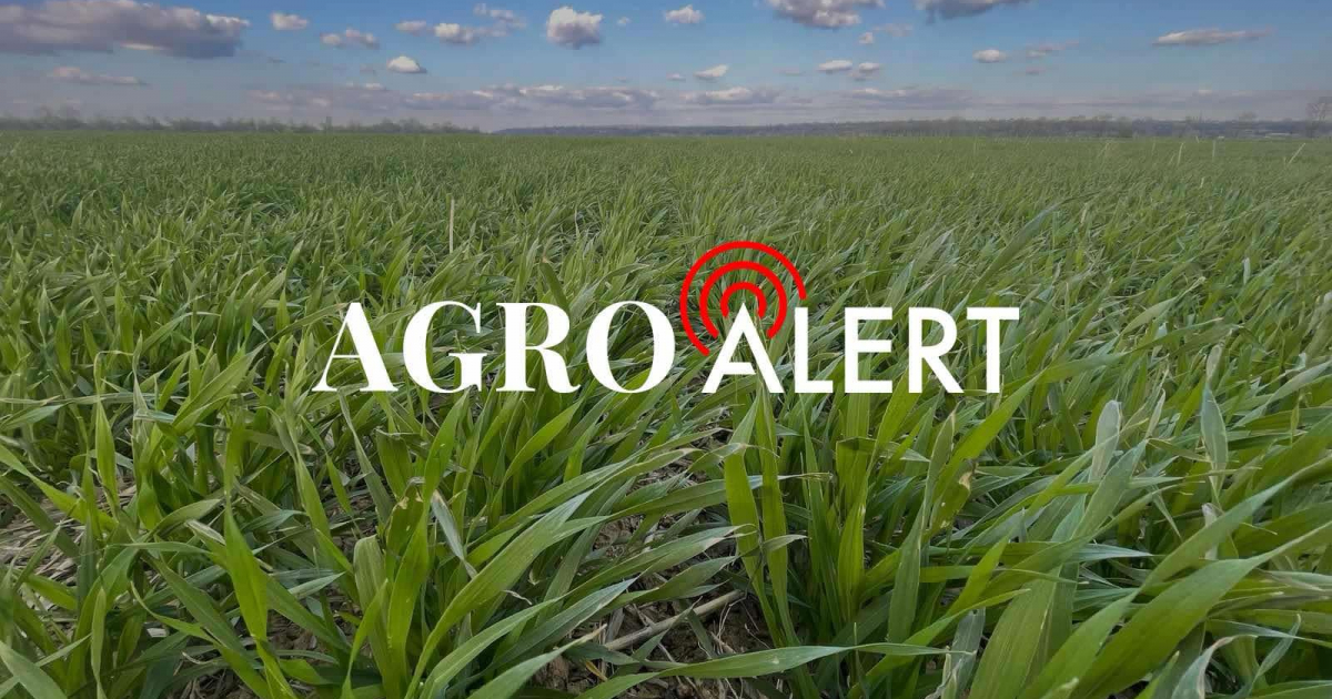AGROMEDIA ȘI BAYER MOLDOVA LANSEAZĂ „AGRO ALERT”: Platformă de informare direct din teren pentru ...