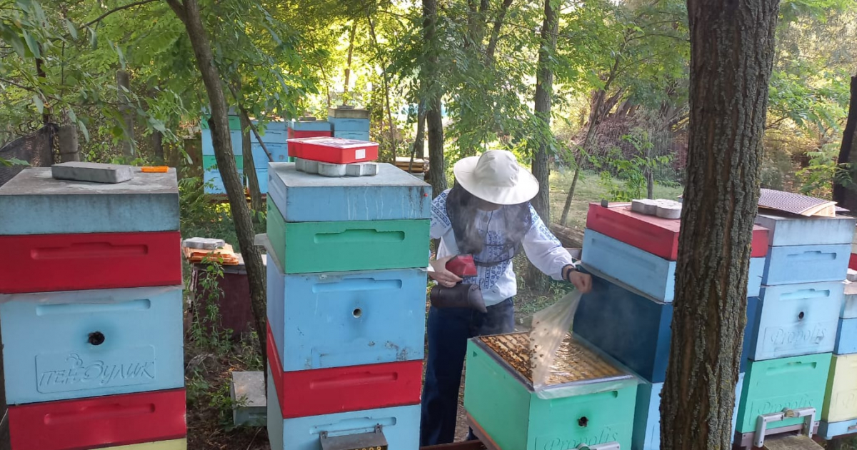 DE LA IDEE LA IMPACT: „Bee Paradise”, proiectul unei tinere fermiere ...
