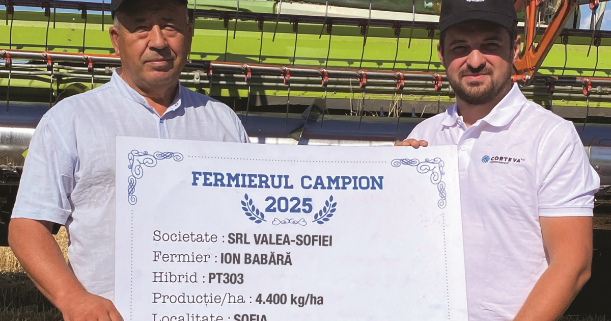 FERMIERI CAMPIONI LA RAPIȚĂ CU PRODUCȚII DE PESTE 4 T/HA