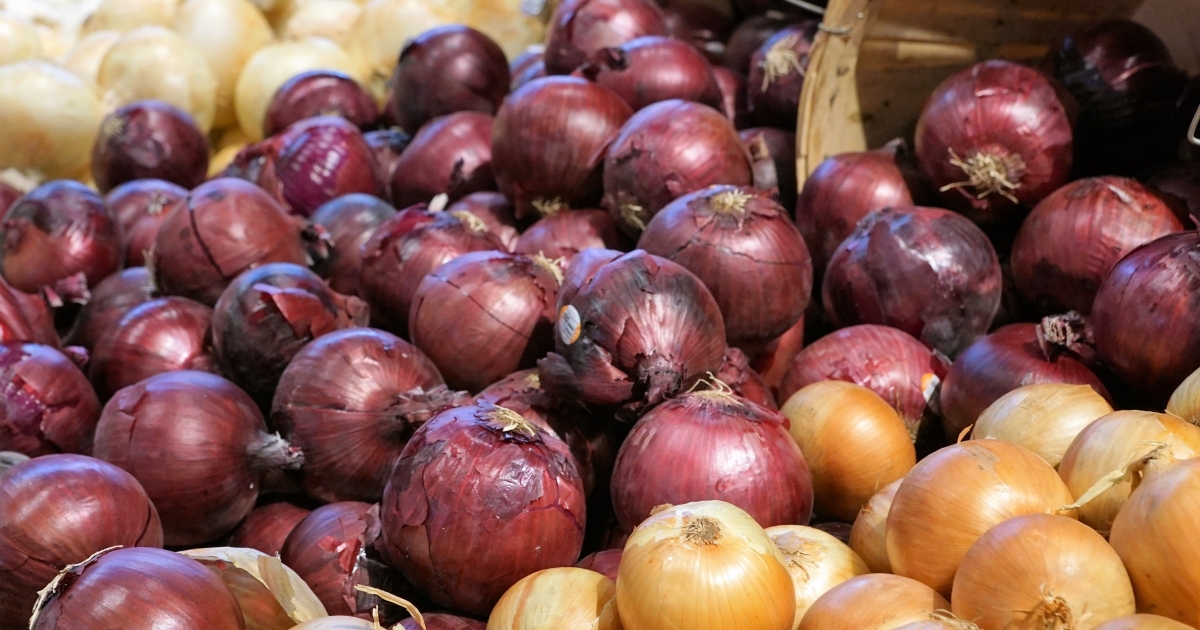 FERMIERII SPERĂ LA O MAJORARE DE PREȚ A CEPEI. De cealaltă parte, în ...