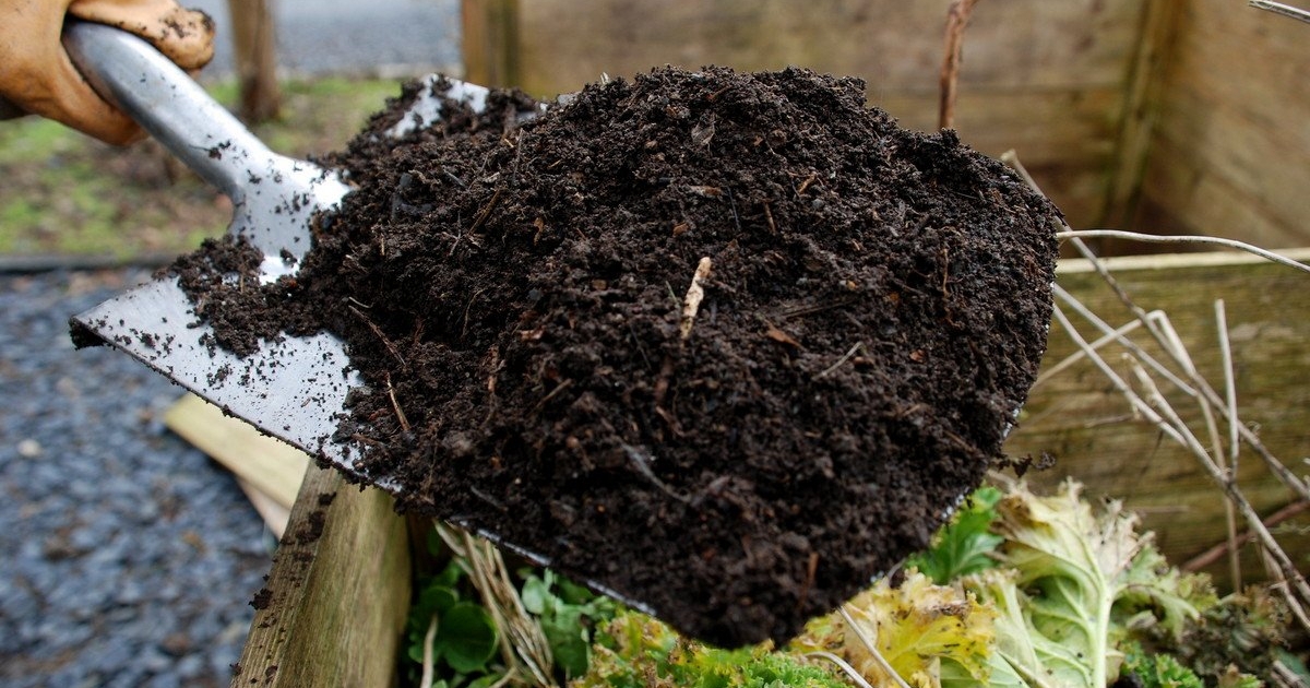 CUM FACEM COMPOST ACASĂ? Compostarea la rece vs compostarea fierbinte ...