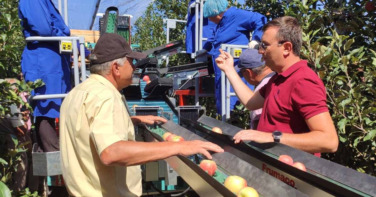 RECOLTAREA MERELOR, O PLĂCERE ATUNCI CÂND AI TEHNOLOGII MODERNE ...