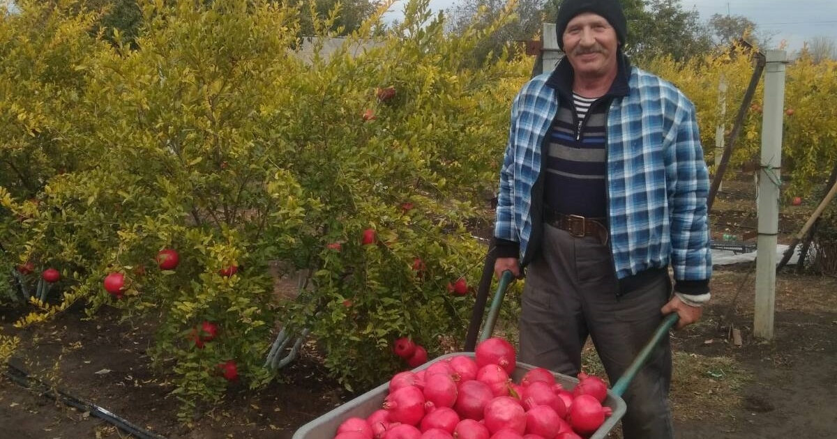 ZECI DE MII DE PERSOANE AU CITIT ȘTIREA DESPRE LIVADA DE RODII DE LA ...