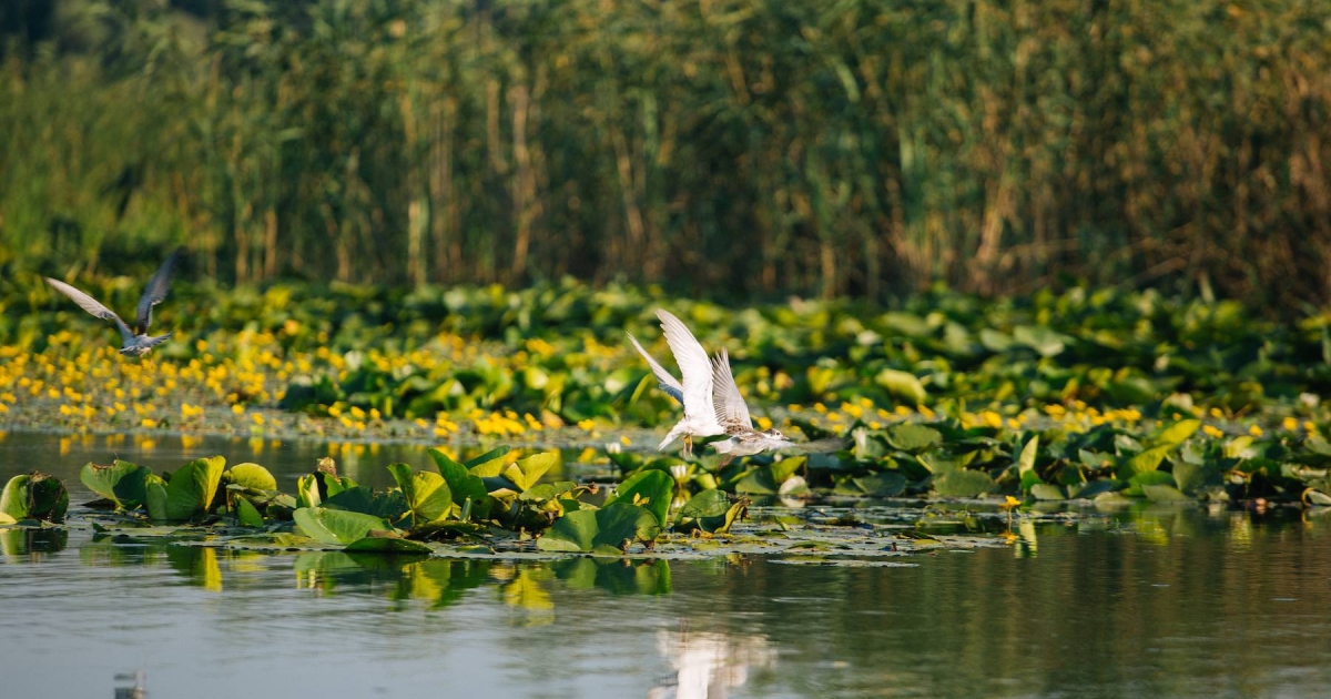 START SEZONULUI TURISTIC ÎN REGIUNEA LACULUI BELEU