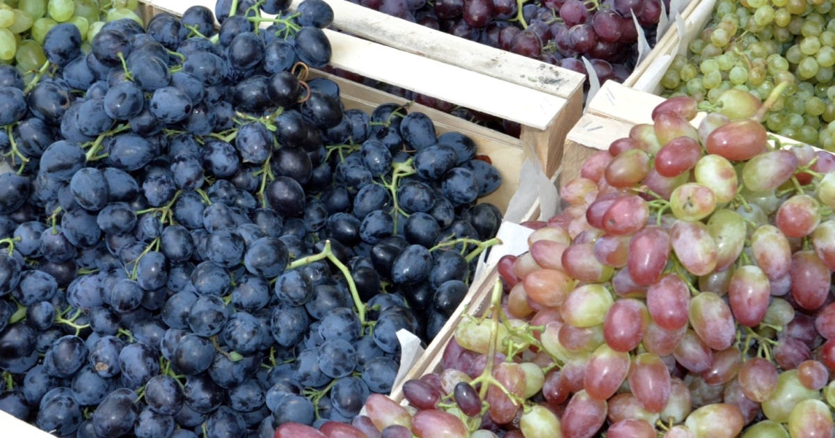 SOIURILE TIMPURII DE STRUGURI DE MASĂ: oferta mare, prețuri în scădere