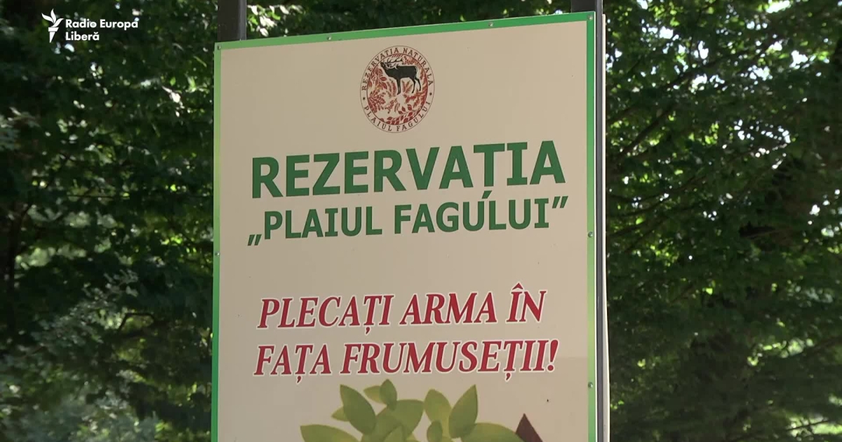 CAZUL „PLAIUL FAGULUI”, ELUCIDAT. Două persoane au fost sancţionate ...